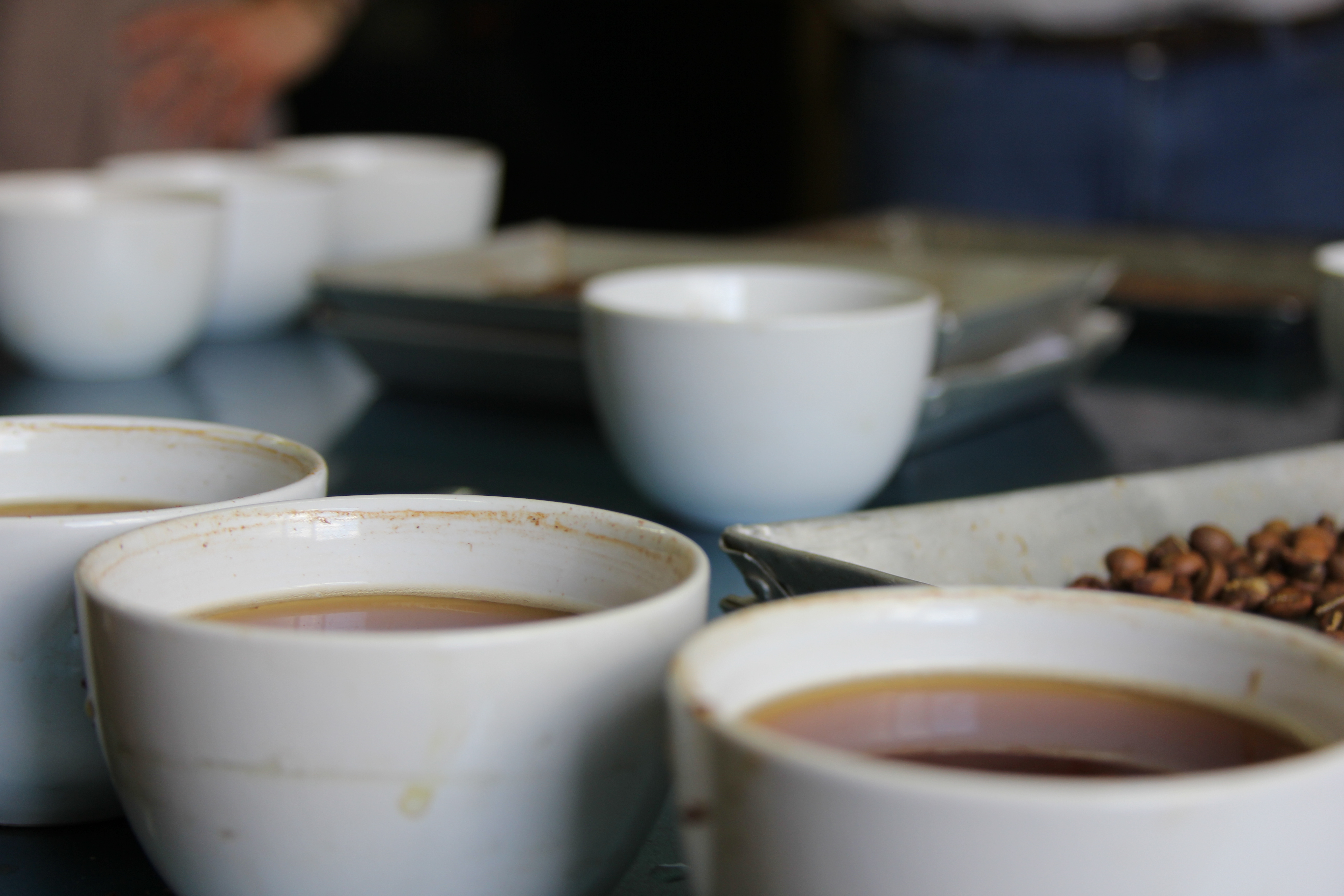 THE 10 BEST ESPRESSOS FROM CHAIN COFFEE SHOPS, RANKED | Jonah Flicker